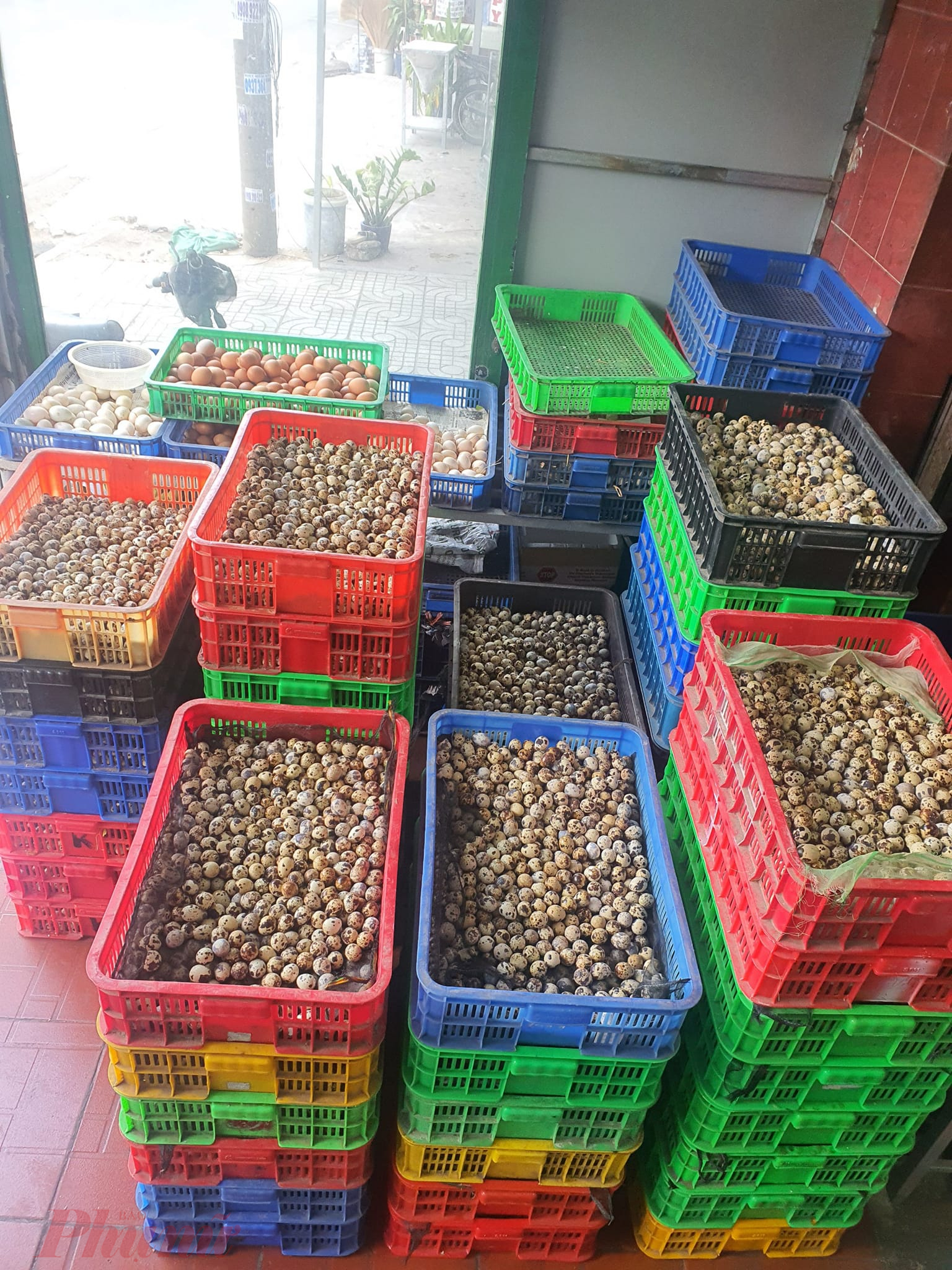 Bỏ sỉ trứng gà, trứng vịt, trứng cút Dĩ An